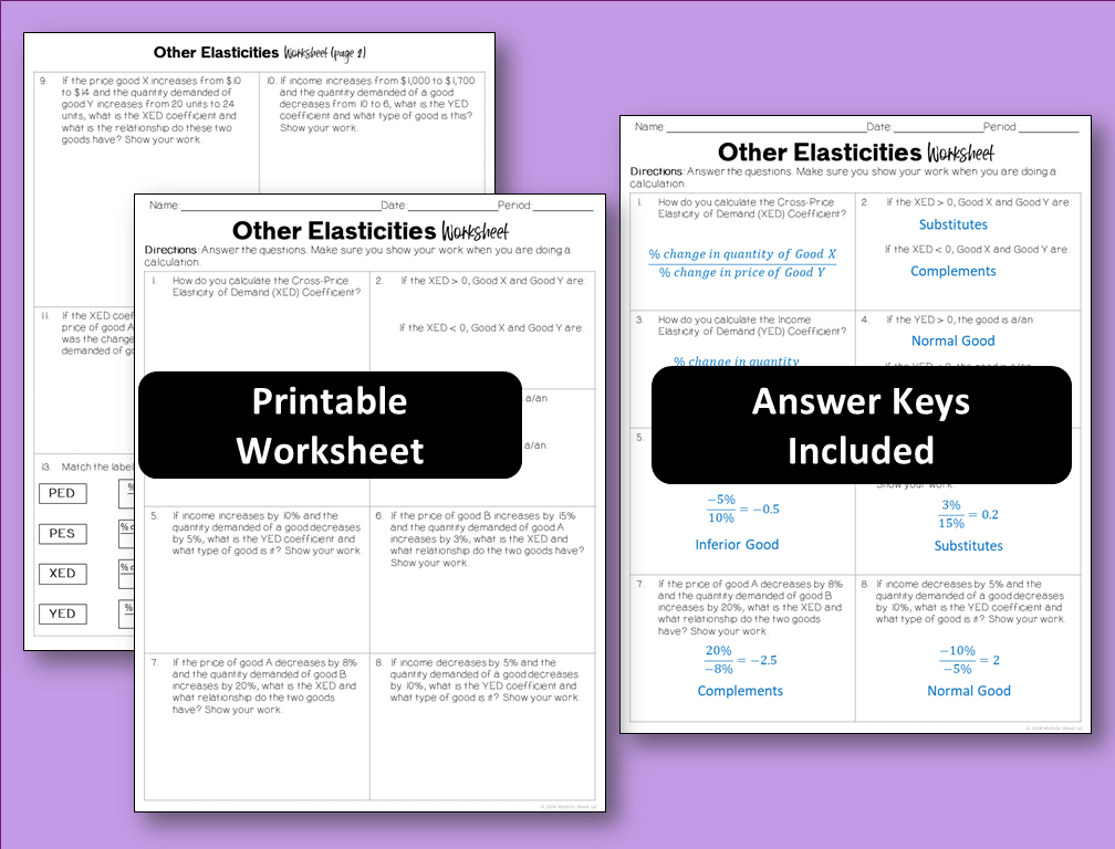 Other Elasticities Worksheets - Michelle Wood