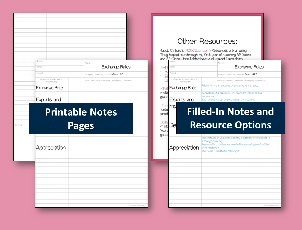 Macro 6.2 Exchange Rates Notes - Michelle Wood